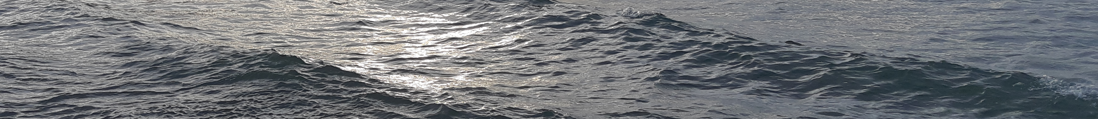 Seaswell Publishing - Seaswell Publishing